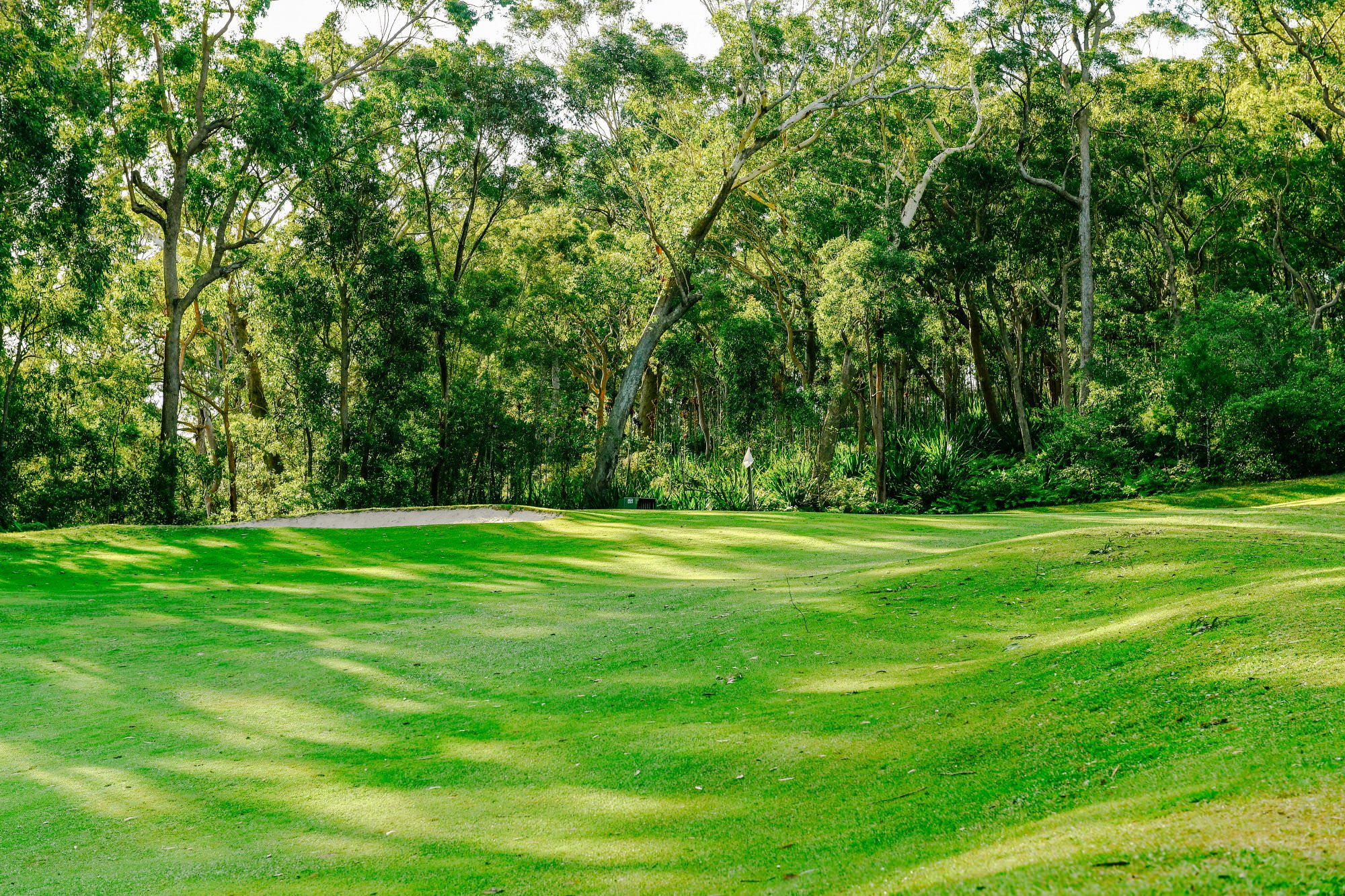 12th Hole Fly-Over | Nelson Bay Golf Club