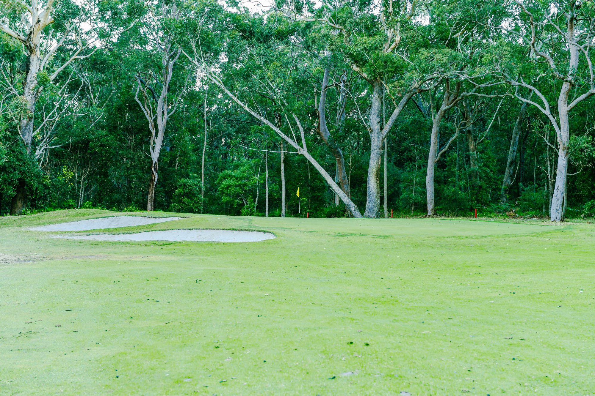 21st Hole Fly-Over | Nelson Bay Golf Club