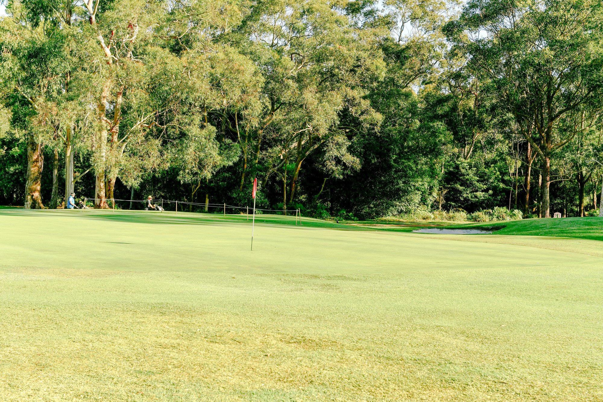 3rd Hole Fly-Over | Nelson Bay Golf Club